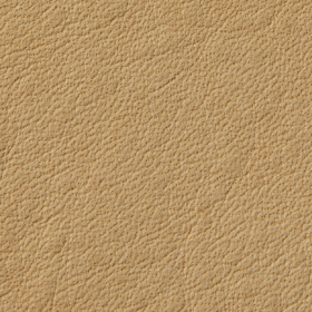 Nappa Interno: Smooth Leather, Leather for Shoes | Gruppo DANI Tannery